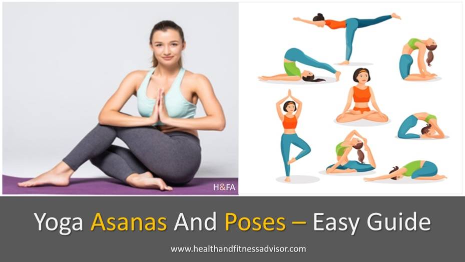 Asanas In Yoga - Beginners Guide To Yoga Asanas And Poses